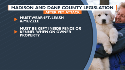 After dog bite at Goodwill, a look at owner responsibility when having ...