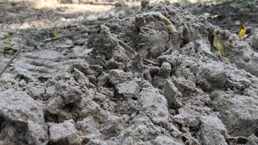 PHOTOS: Flooding in Middleton damages Pheasant Branch Conservancy ...