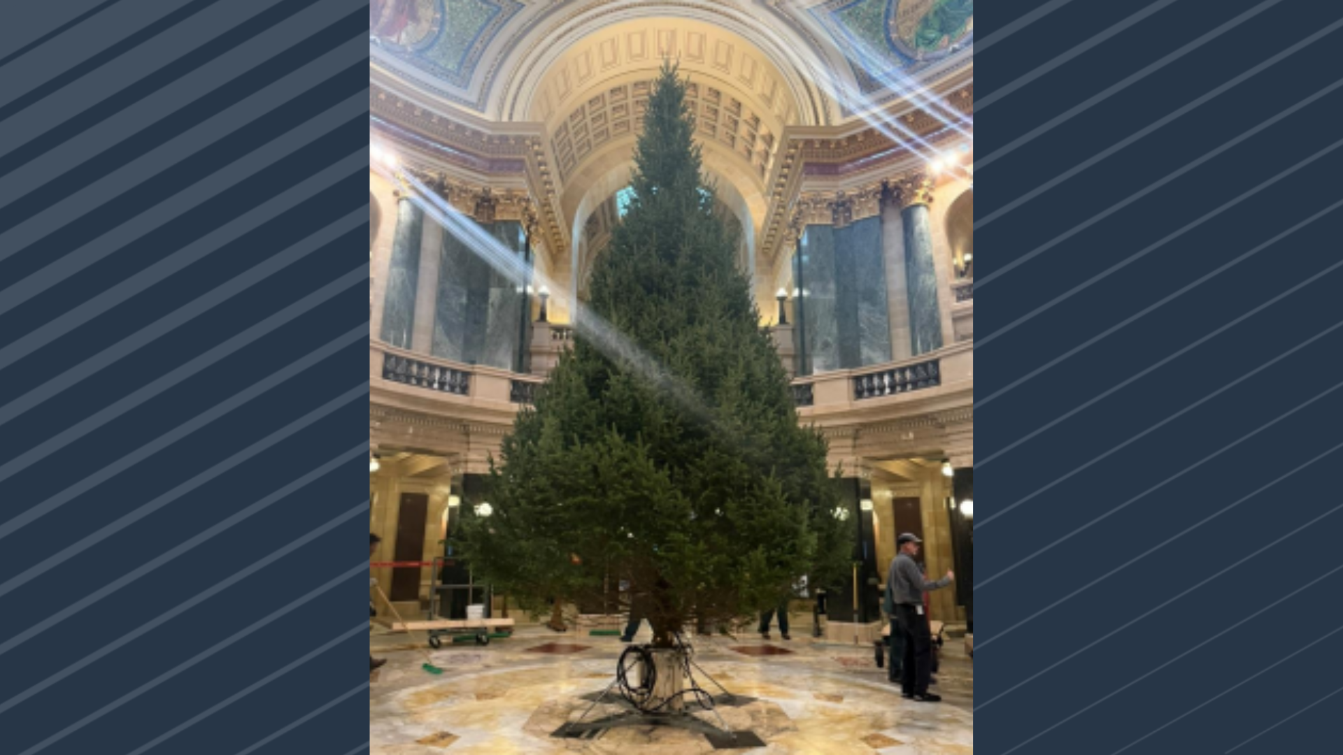 Wisconsin Capitol Rotunda Christmas Tree Installed for 2025 | News ...