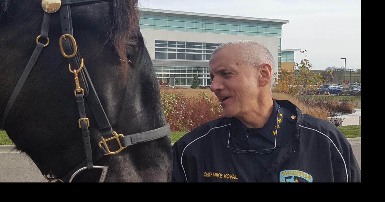 PHOTOS: Cooper joins Madison police’s mounted patrol team | Local News ...