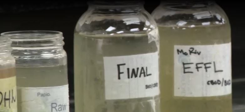 'Community-wide kind of testing': Wastewater testing monitors pathogens ...