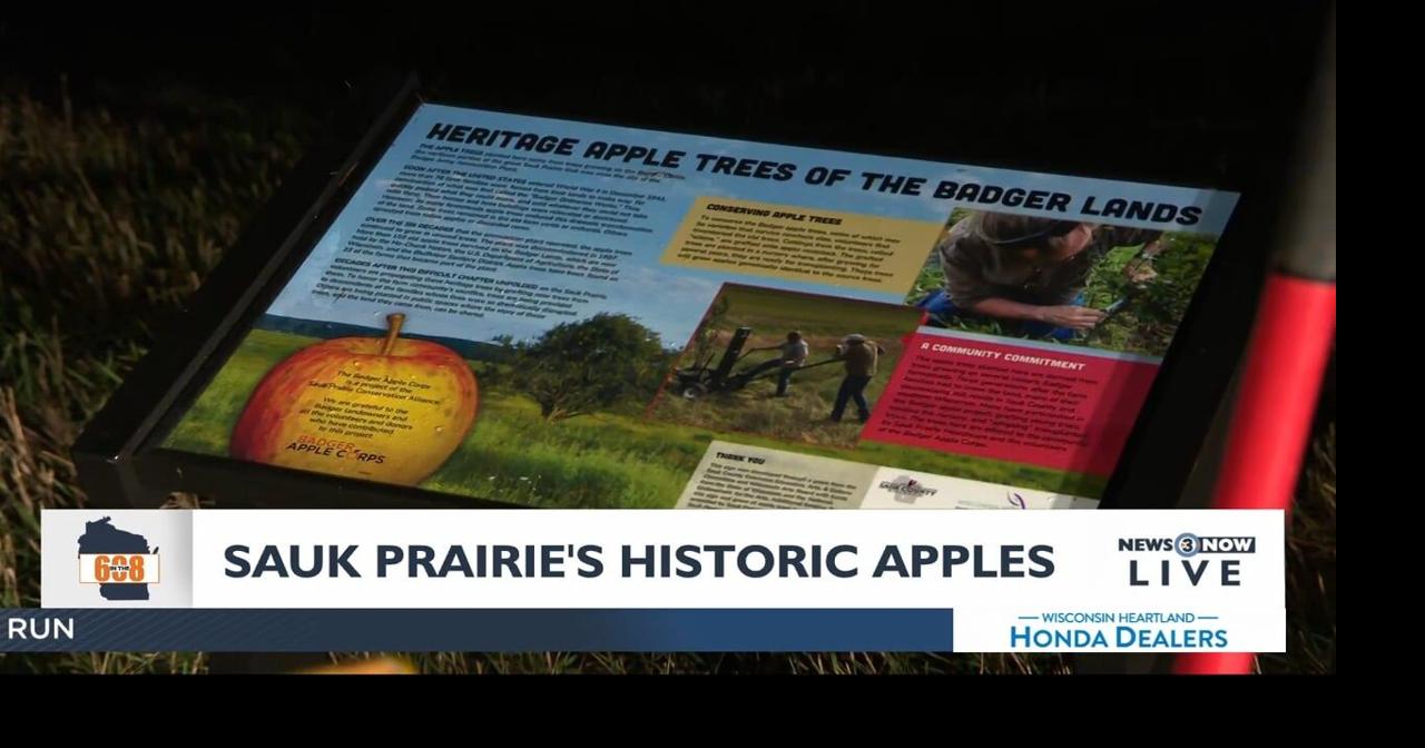 In the 608: Celebrating Sauk Prairie's historic apples | Features ...