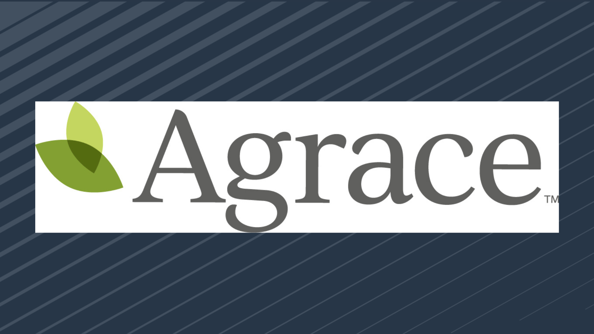 Agrace Thrift Stores' annual Holiday Pop-up Shop returns Oct. 30 | News ...
