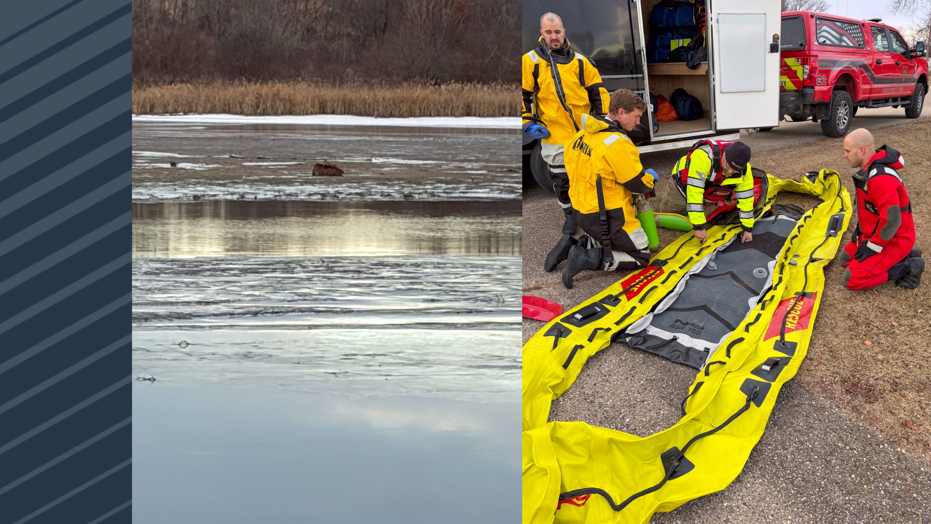 Belleville firefighters rescue deer from lake | News | channel3000.com