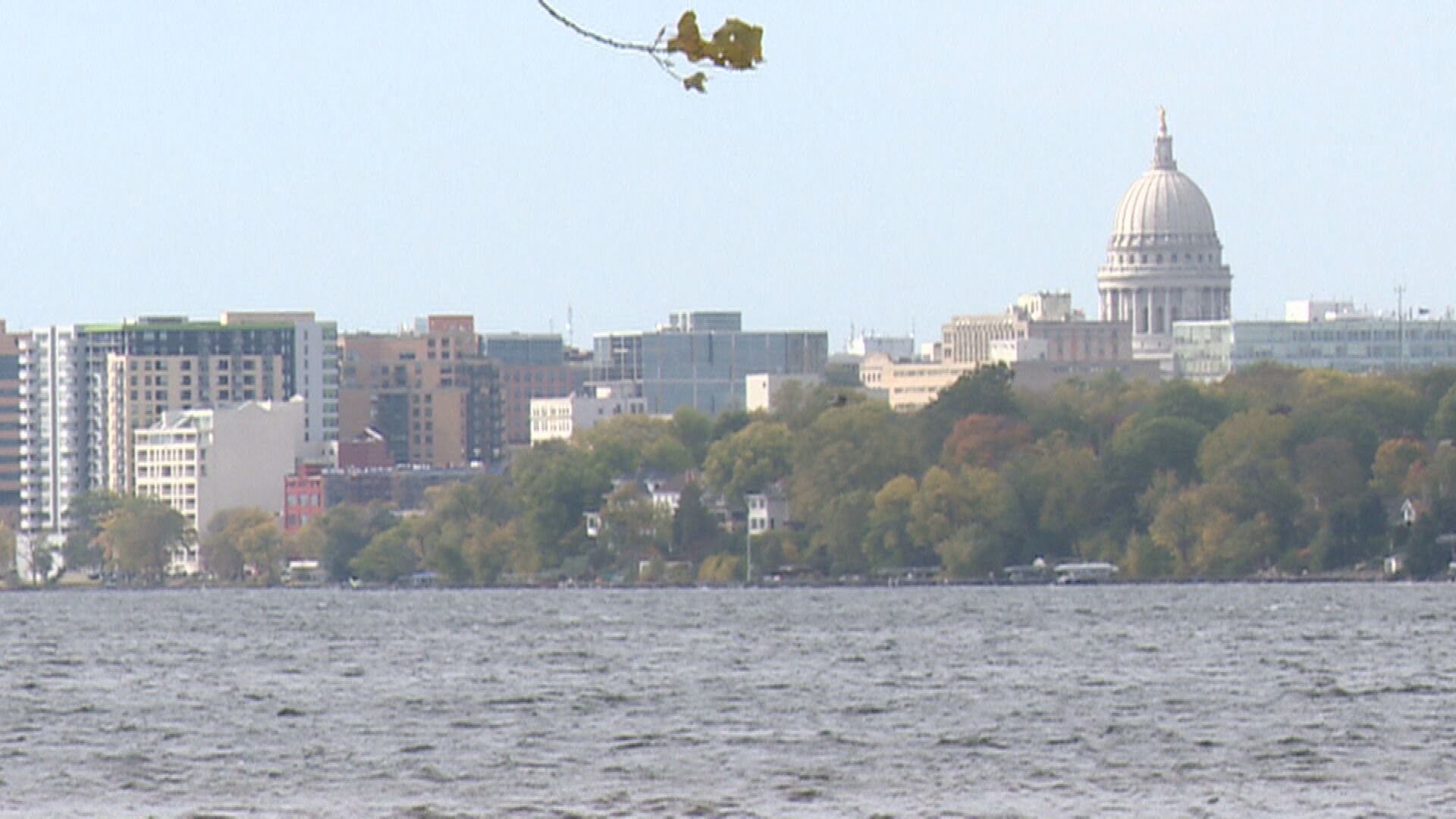 Madison's independent police monitor resigns, citing medical reasons ...