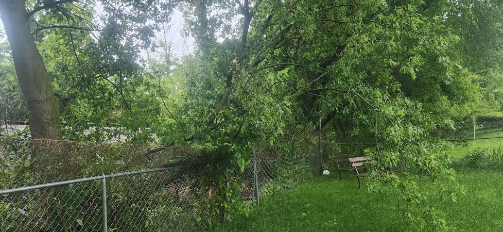 GALLERY: Severe weather rolls through southern Wisconsin | News ...