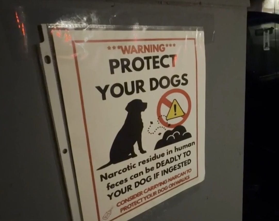 Dog tests positive for meth after morning walk in Los Angeles | News ...