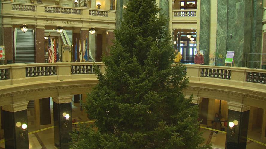 State Capitol Holiday Tree being set up for holiday season | Family ...