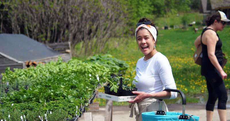 Stock your garden at local spring plant sales | MADISON MAGAZINE ...