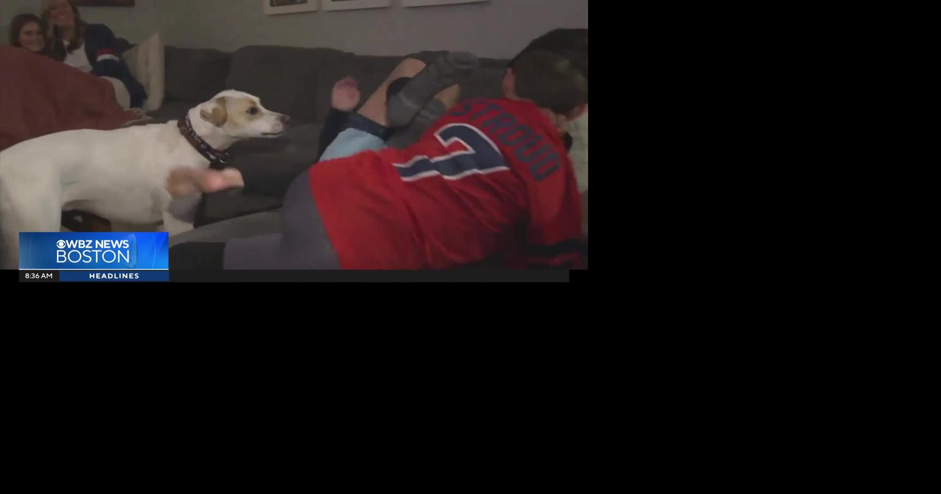 House full of Patriots siblings also includes one young Texans fan: "We ...