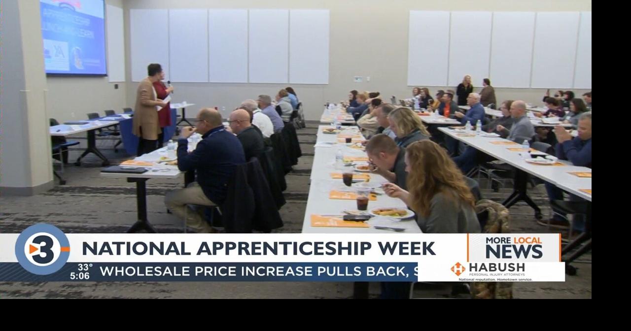 Groups celebrate National Apprenticeship Week | Education news ...