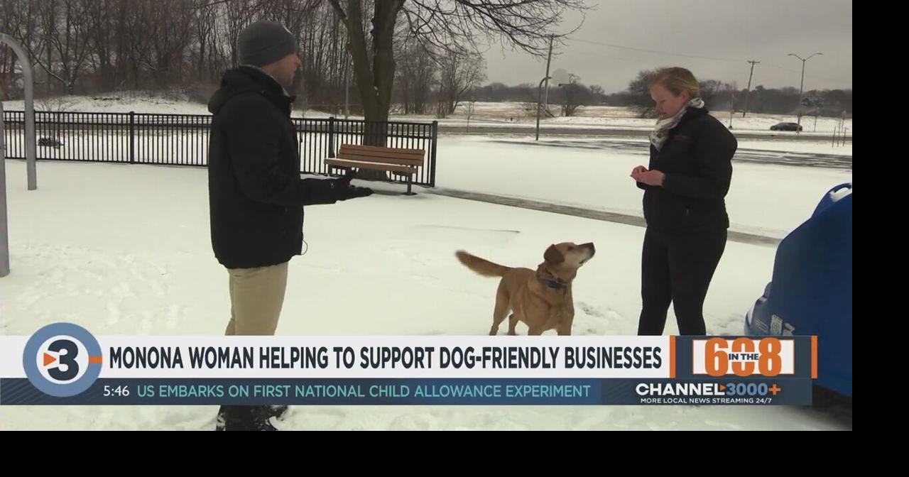 In the 608: Monona woman helping to support dog-friendly businesses ...