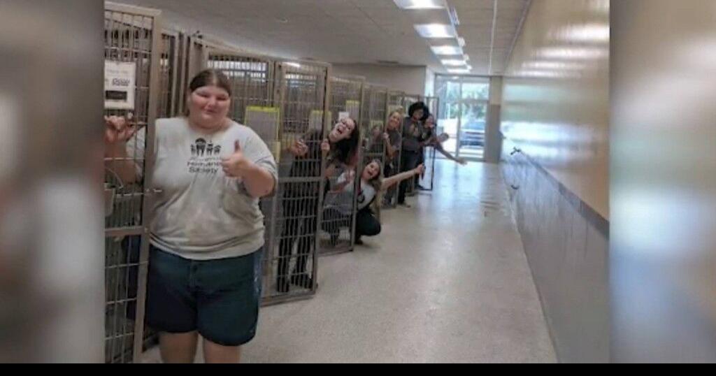 Florida Humane Society finds homes for 250 animals in one week ...