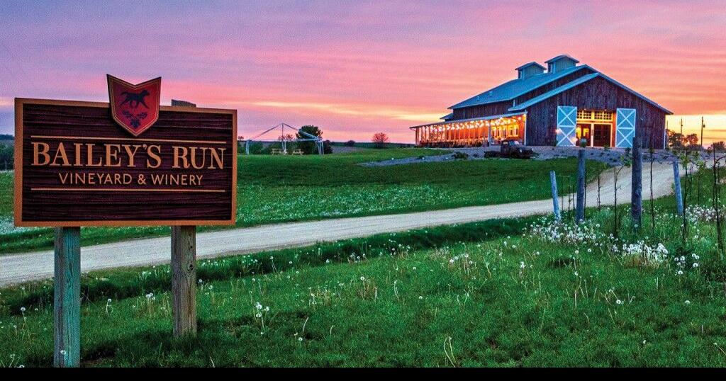 Bailey’s Run Vineyard & Winery | Sponsored Content | channel3000.com