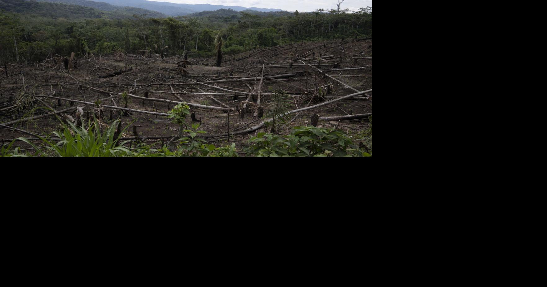 Climate change, deforestation impact Amazon's flying rivers | Shareable ...