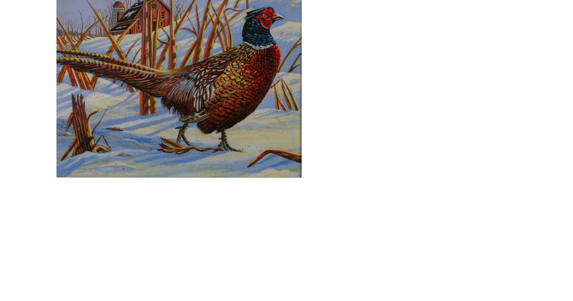 The DNR is accepting artwork for 2025 stamp contest | News ...