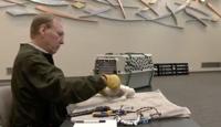 Peregrine falcons thrive in Wisconsin thanks one man's brilliant idea ...