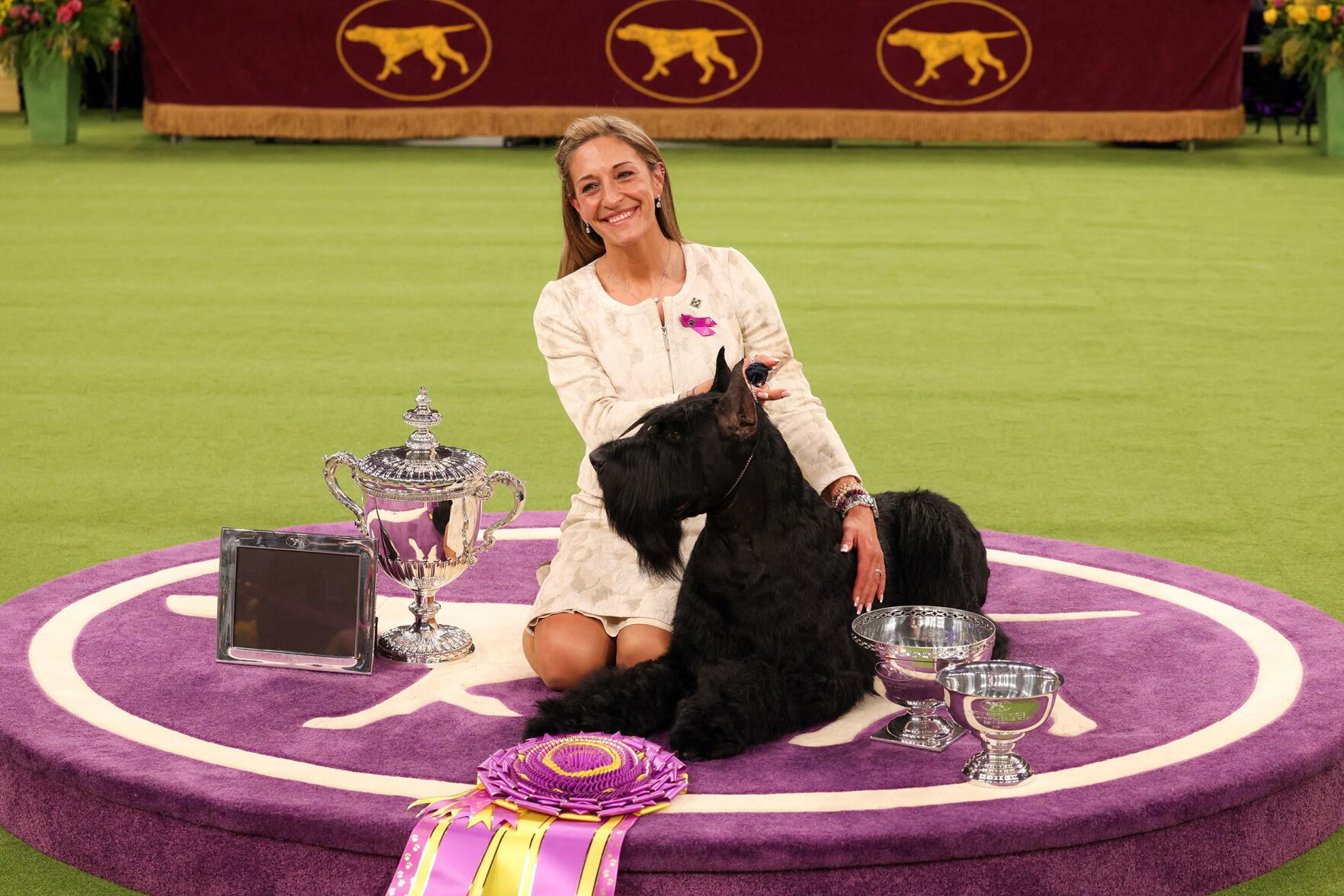 What judges are looking for in dog show competitors | Shareable Stories ...