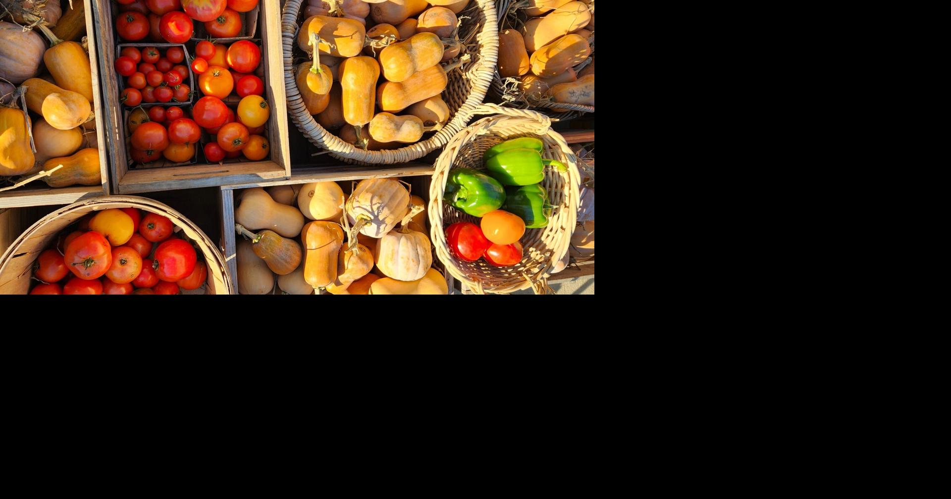 DHS provides access to fresh produce for Dane County seniors | News ...