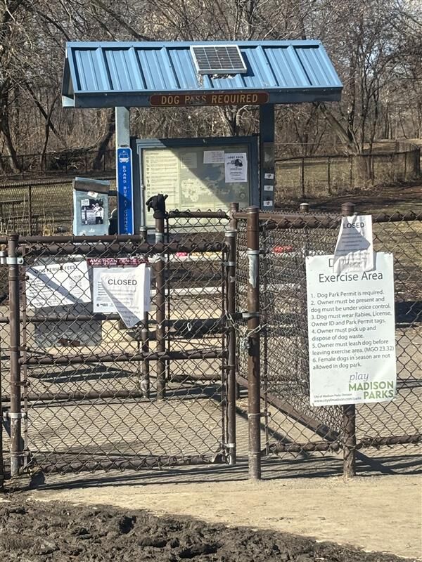 Warner Dog Park reopens after dog's death | News | channel3000.com