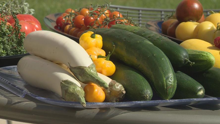 Edgerton Hospital chef creates garden, grows fresh produce for patients ...