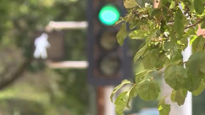 Madison unveils plan to make walking, biking to school safer for ...