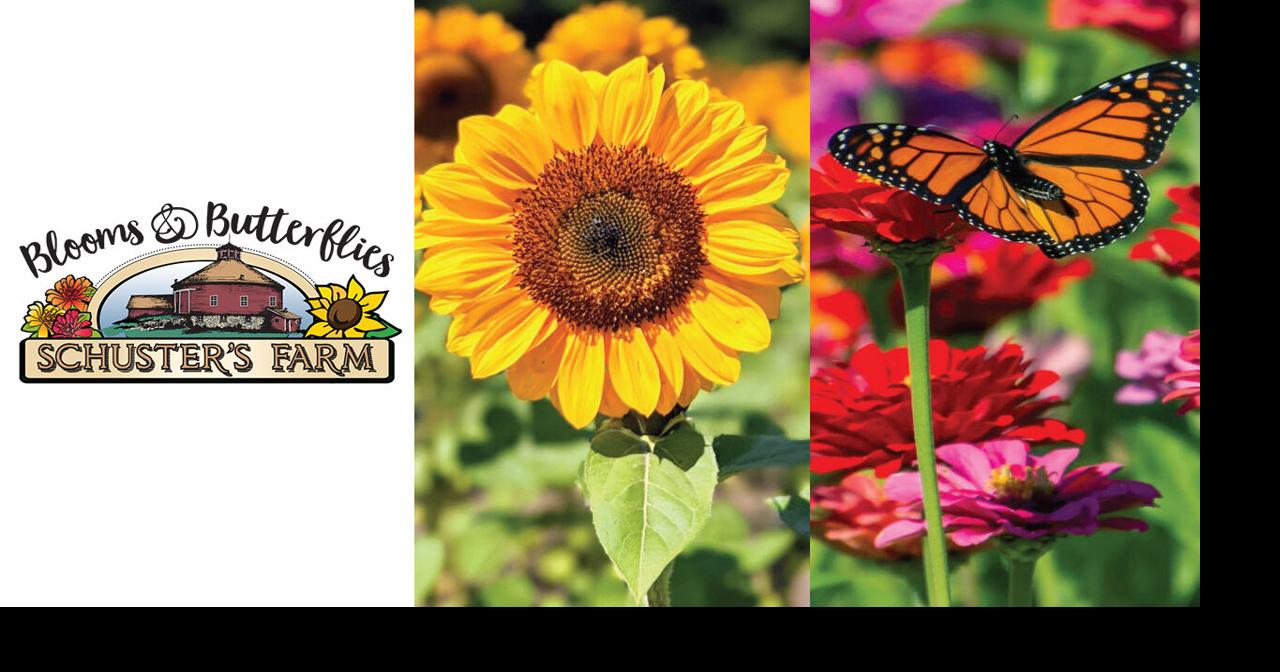 Schuster’s Farm | MADISON MAGAZINE | channel3000.com