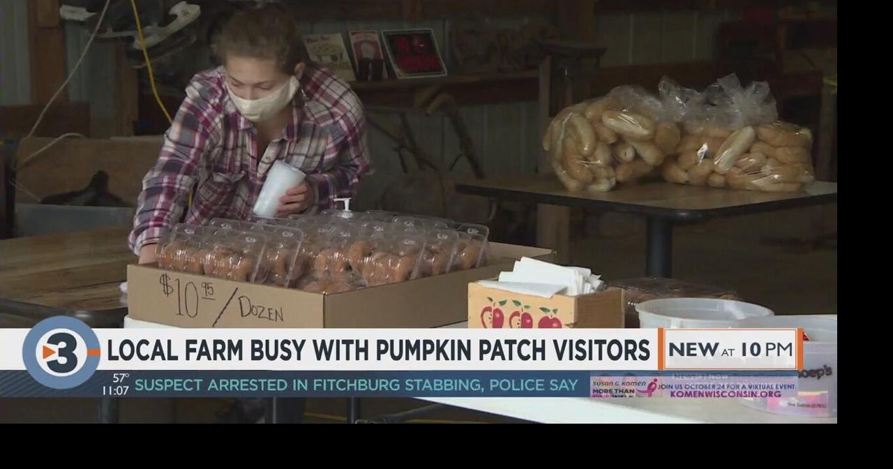 Eplegaarden busy with apple orchard and pumpkin patch visitors | Local ...