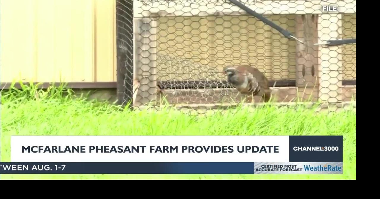 MacFarlane Pheasants provides update on damage from June tornado | News | channel3000.com