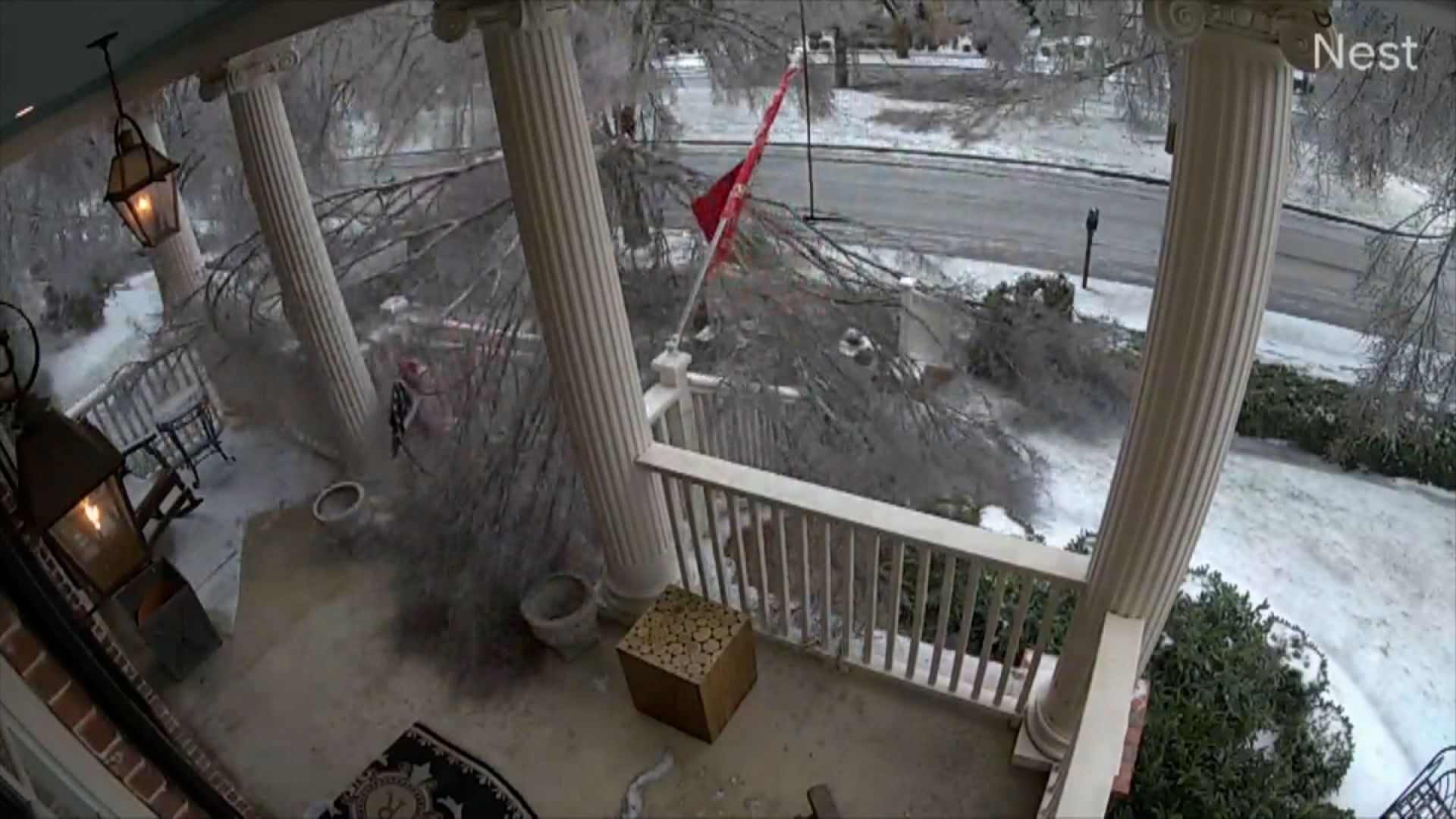 Insane doorbell camera captures ice storm devastating tree canopy as ...