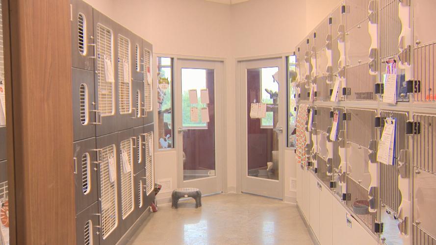 Humane Society of Southern Wisconsin holds grand opening event for new ...