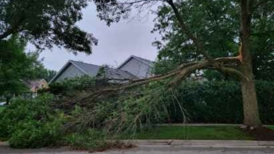 Storms cause tens of thousands across Southern Wisconsin to lose power ...