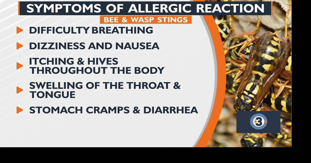 Symptoms of allergic reactions to bee and wasp stings | Video ...