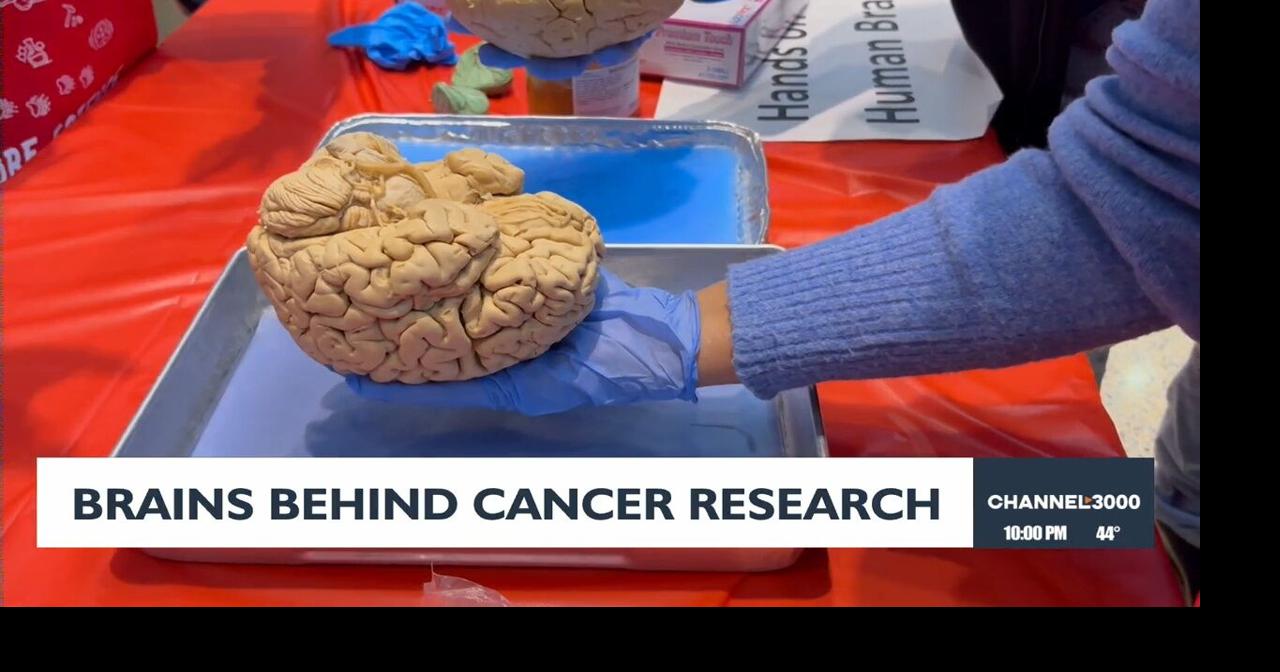 Carbone Cancer Center’s open house offers hands-on look at life-saving ...