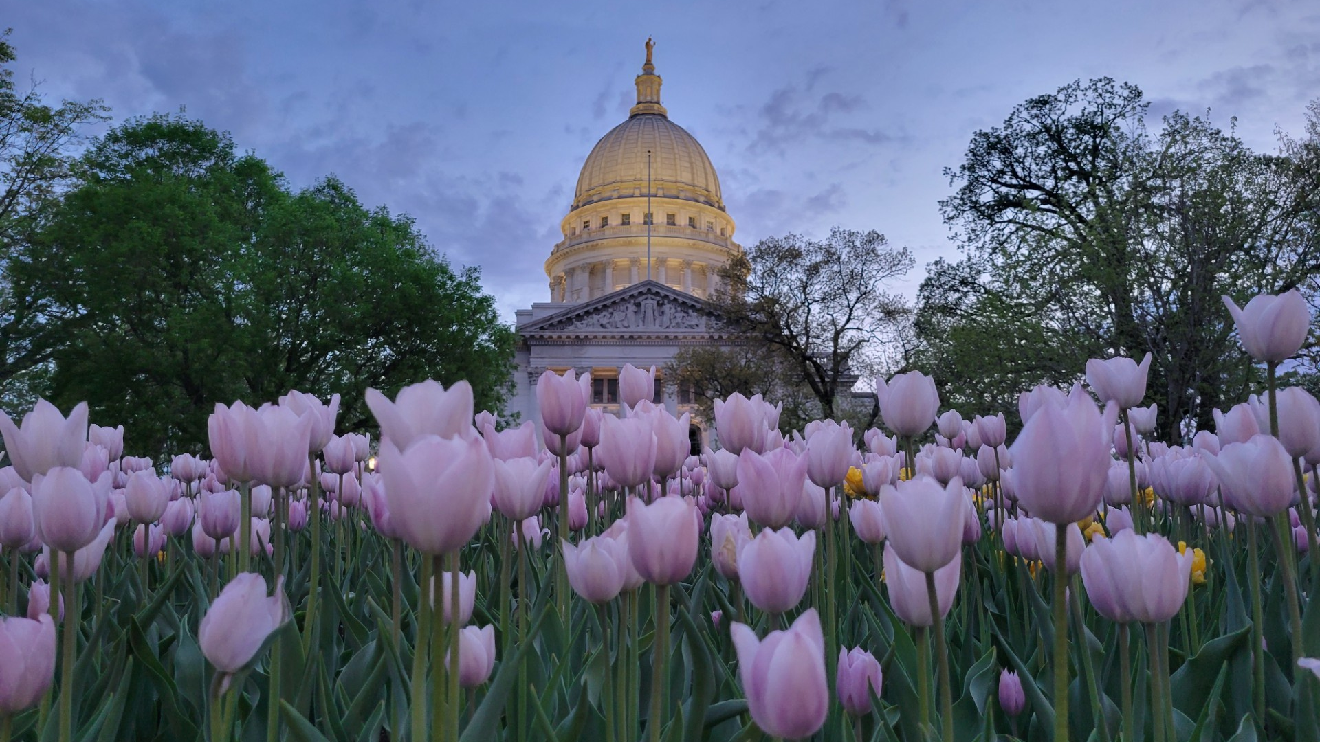 Dane County Farmers' Market to open April 12 | News | channel3000.com