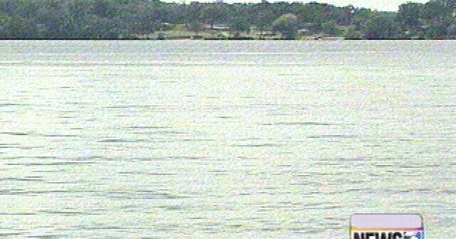 Common carp dying in Rock River | Local News | channel3000.com