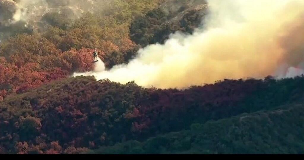 Wildfire definitions: Fire-related terms explained | National and World ...