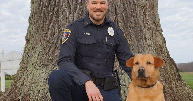 Waunakee police K-9 dies after illness | Crime news | channel3000.com