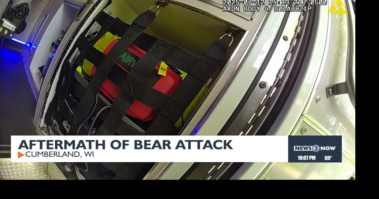 Aftermath of bear attack | Video | channel3000.com