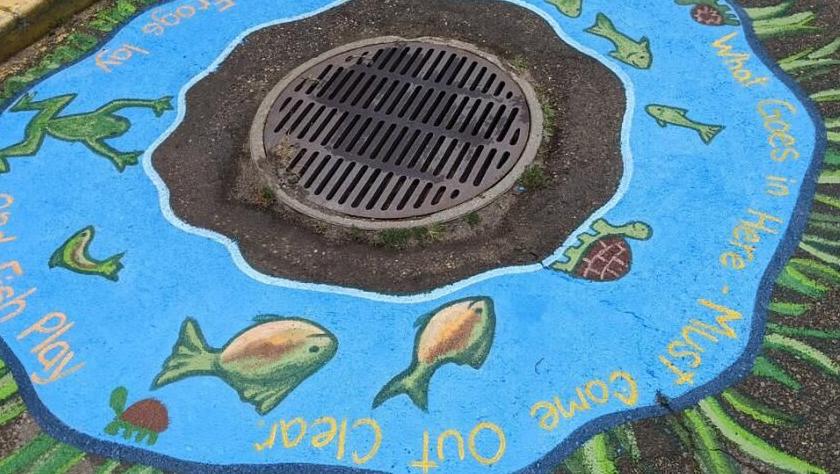 City launches storm drain selfie contest to raise awareness for clean ...