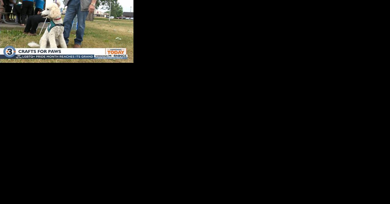 three paws dog services