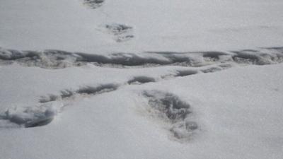 Footprints in snow help state trooper find driver who walked away from ...