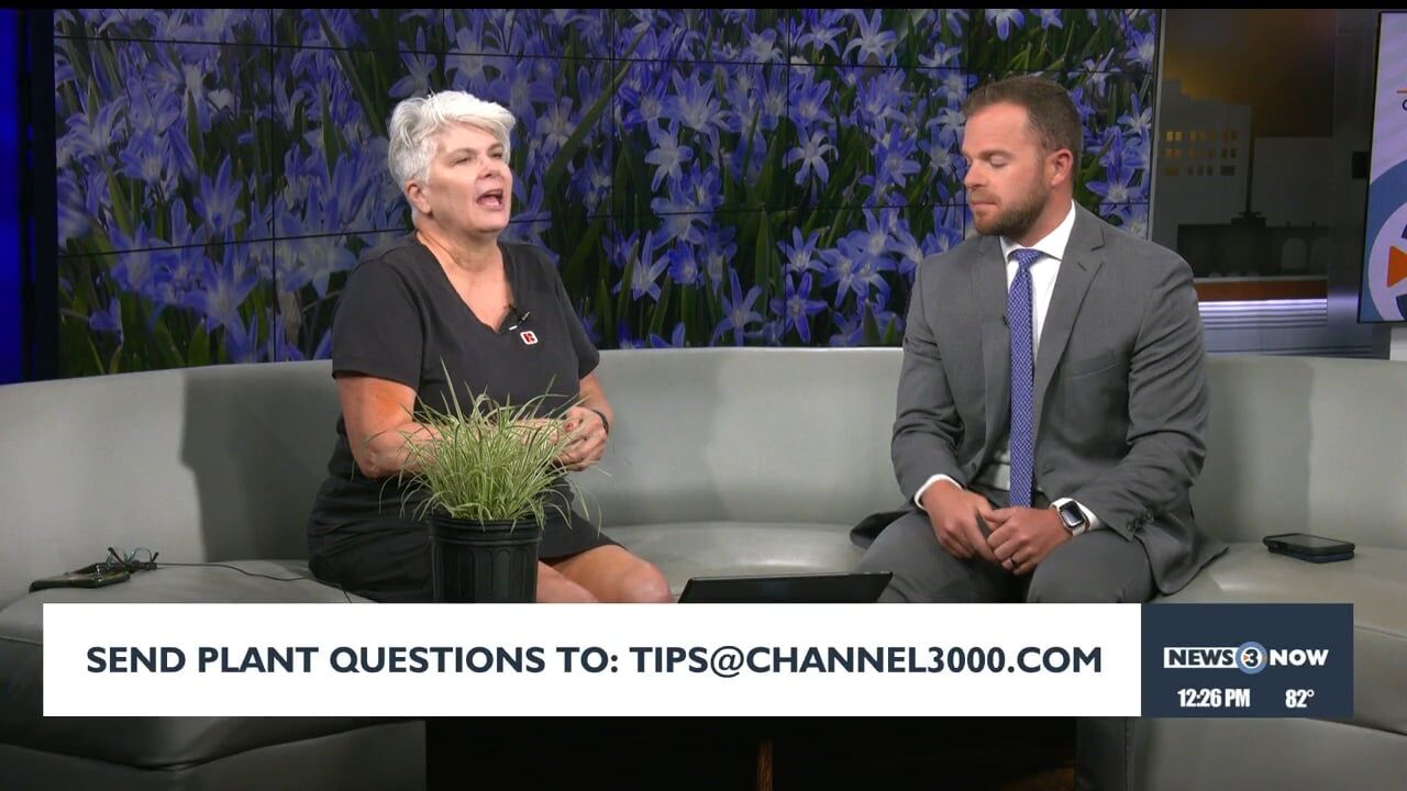 Channel 3000 | Madison, WI news and weather