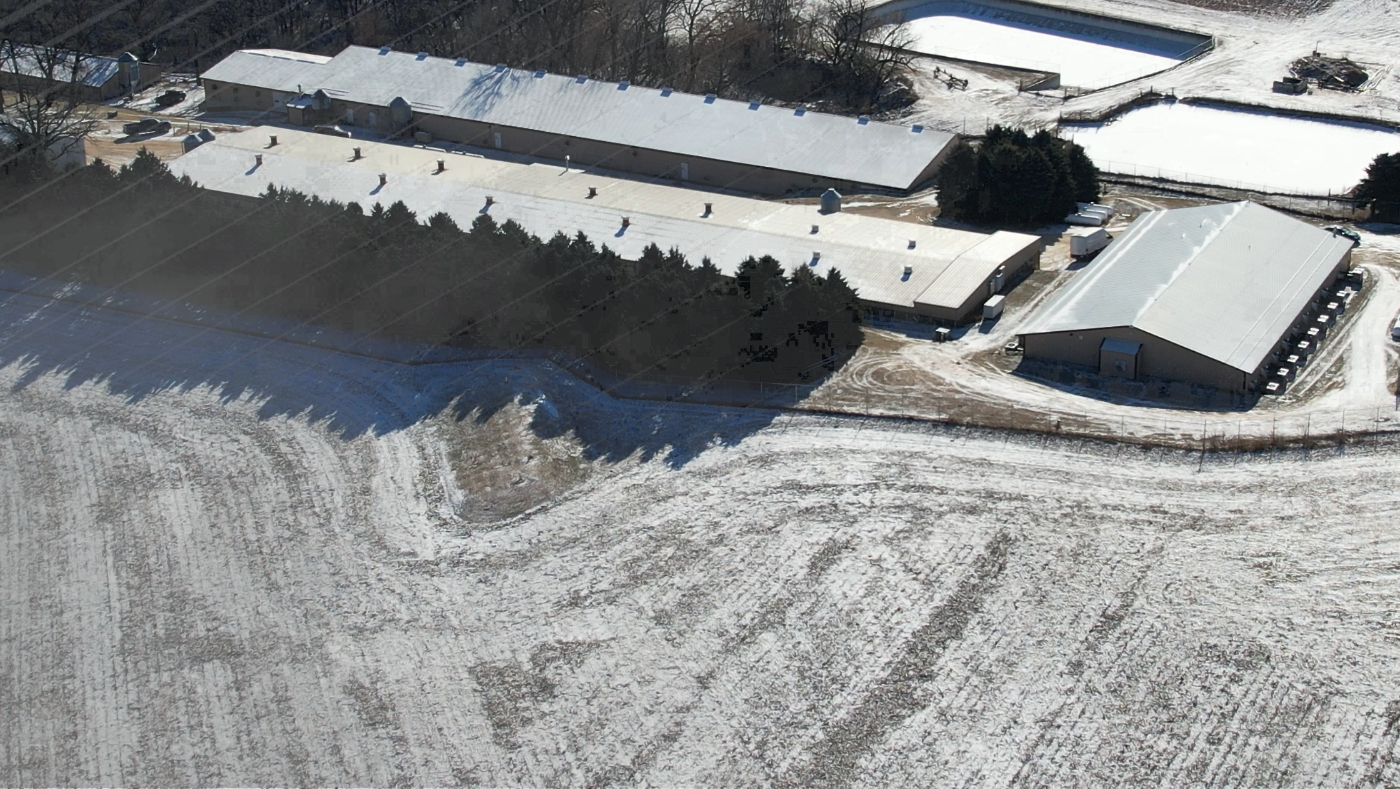 News 3 Now Investigates: Ridglan Farms Under Fire | News | channel3000.com