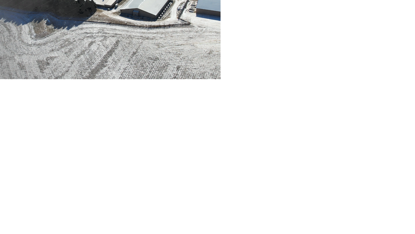 News 3 Now Investigates: Ridglan Farms Under Fire | News | channel3000.com