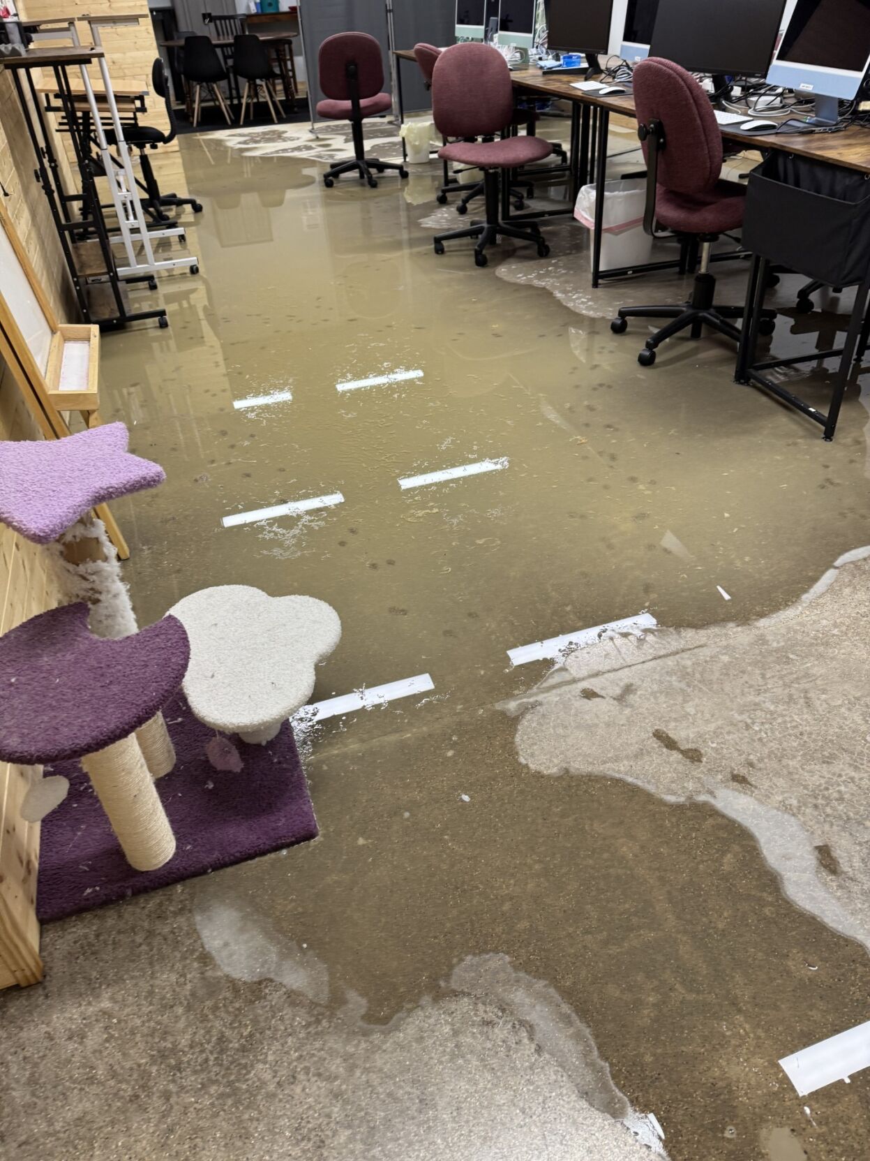 Madison nonprofit faces thousands in damages after flooding Monday ...