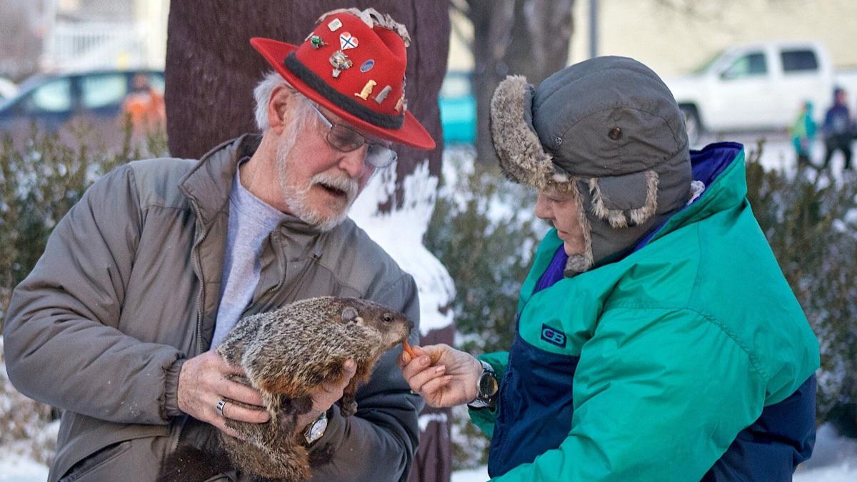groundhog bites mayor