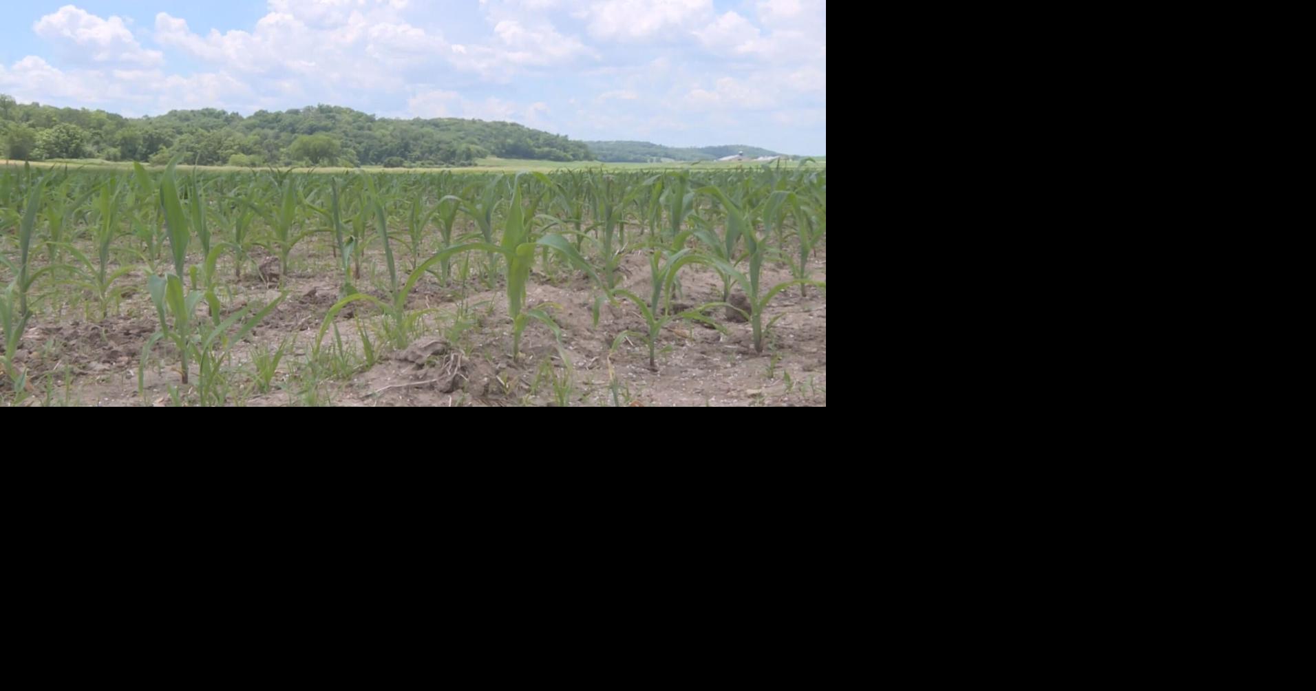 Rains bring some drought relief in parts of southern Wisconsin, but ...