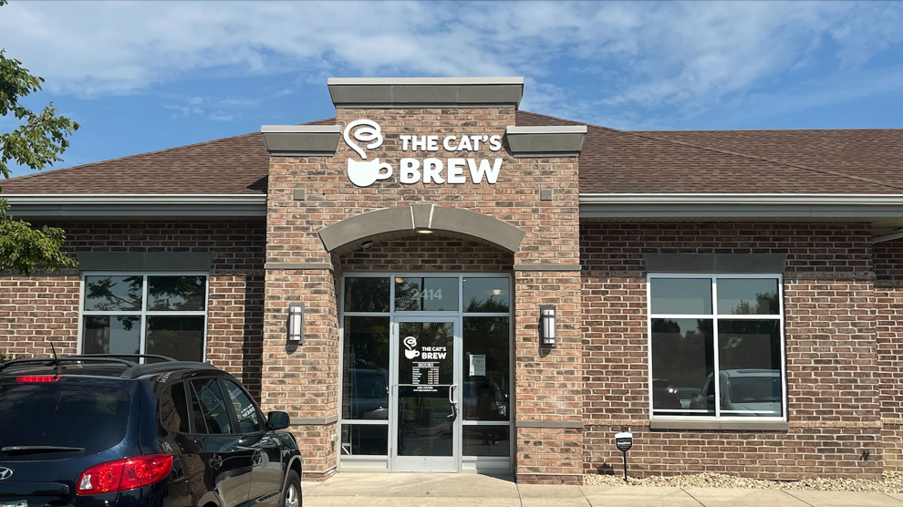 Two former vet techs open a cat cafe in Sun Prairie | MADISON MAGAZINE ...