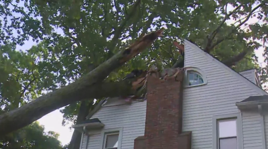 6-year-old girl rescued by father after tree falls on Michigan home ...